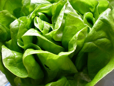 In Hopes of Spring Day 2: Lovely Lettuce & Corn Salad - Aesthetic ...