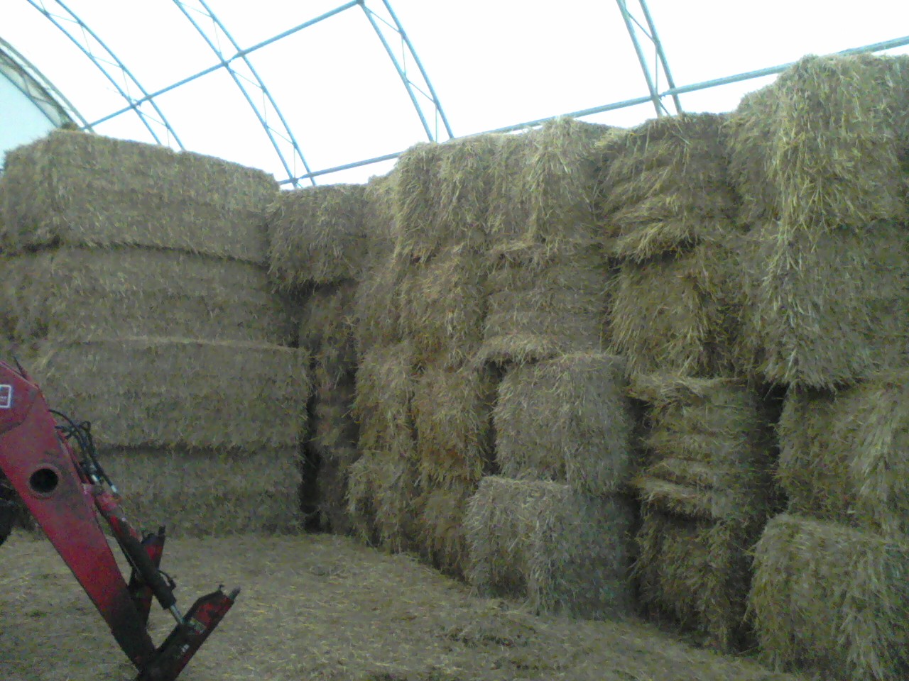 Central Iowa Hay