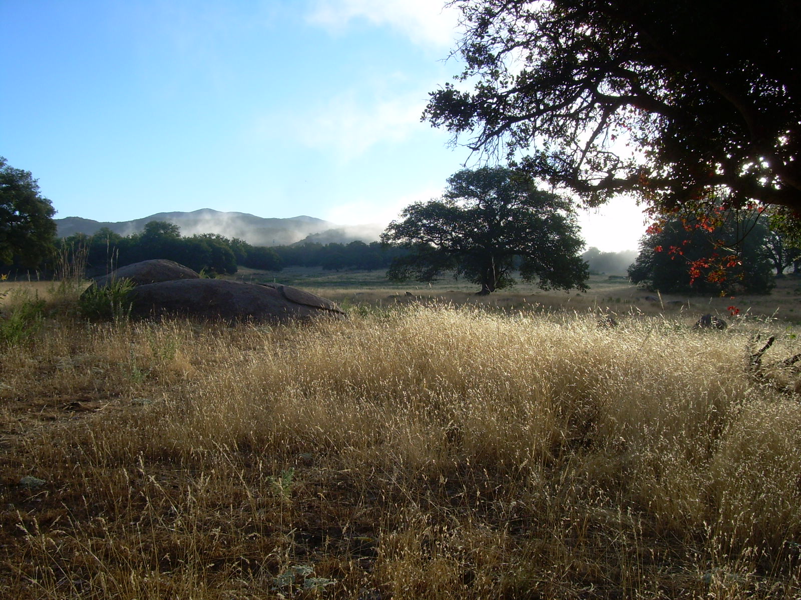 AdventureGraham: Hiking Cleveland National Forest: Roberts Ranch Meadow ...