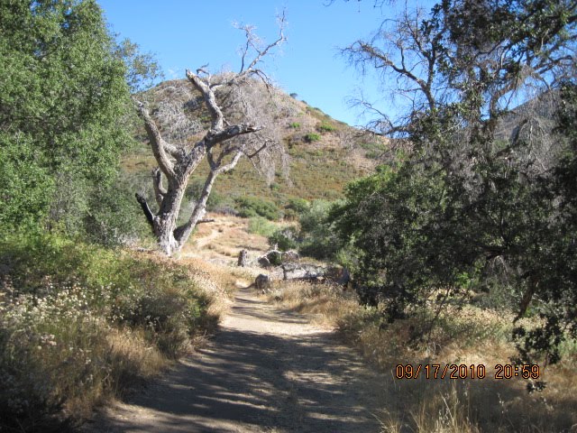 AdventureGraham: Hiking Cleveland National Forest: Roberts Ranch Meadow ...