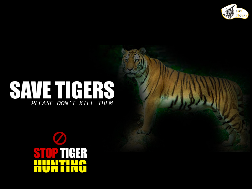 SAVE TIGERS: Wallpapers