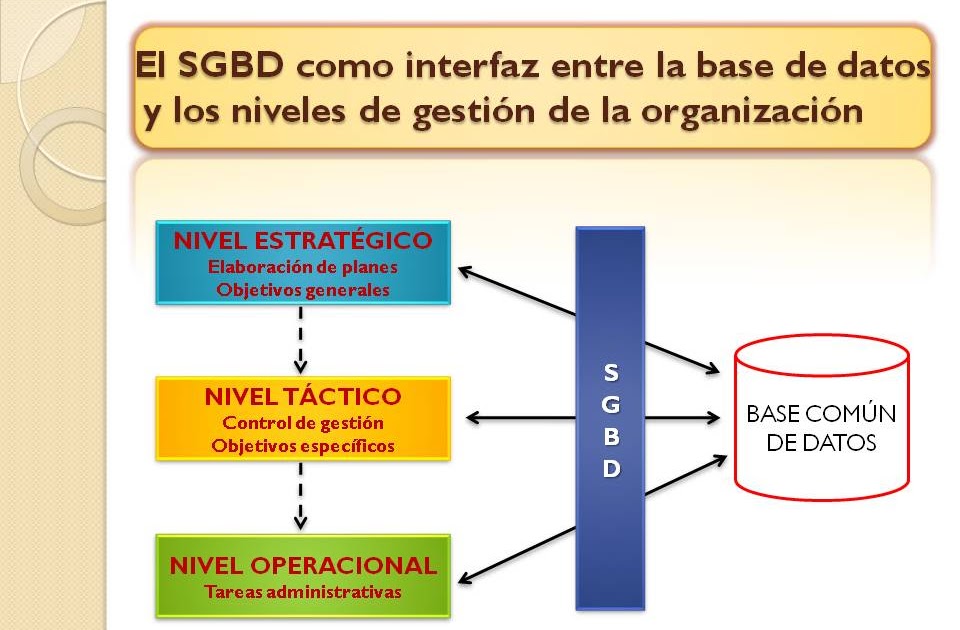 Qual A Função De Um Sgbd - LIBRAIN