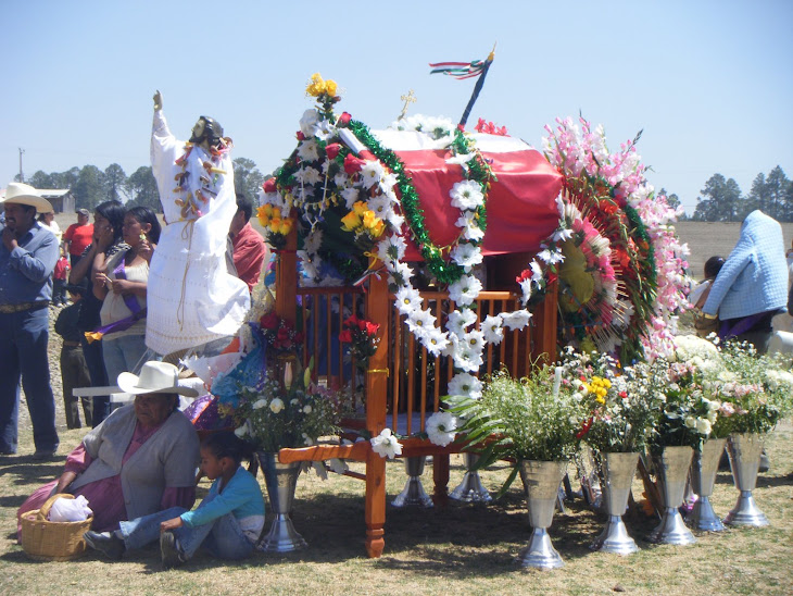 Millones de cosas: Actividades Rurales