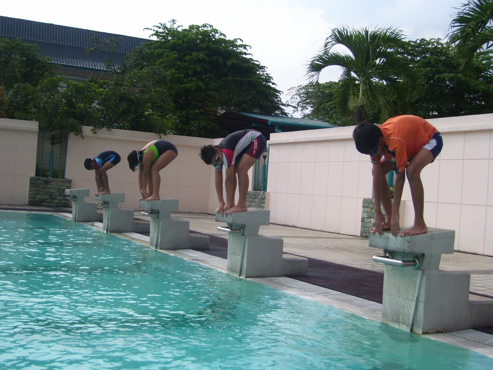 STAR SWIMMING SCHOOL: Swim Start Technique