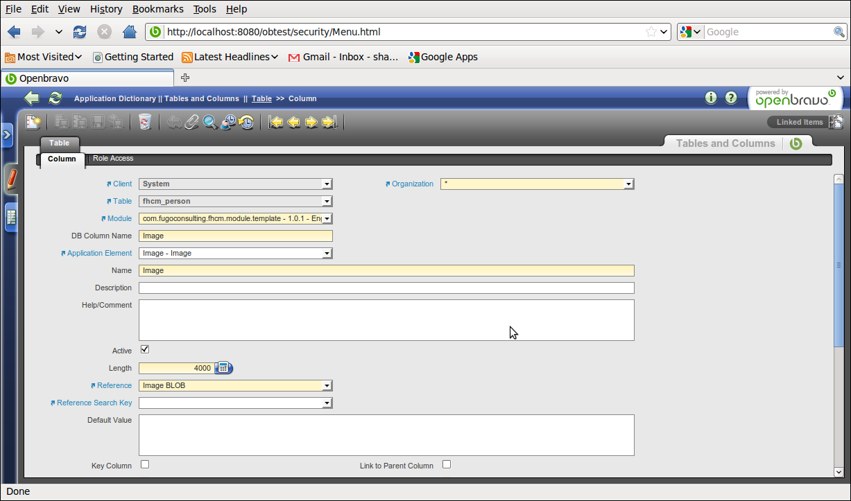 Displaying Images in Openbravo | Fugo Consulting