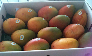 Your Local Markets: Recipe - Lip-smacking, low fat mango icecream