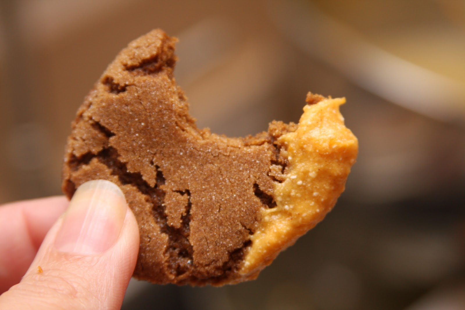 stitching under oaks: ginger gems and pumpkin dip