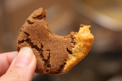 stitching under oaks: ginger gems and pumpkin dip