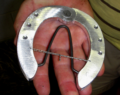 Fran Jurga`s Hoofcare + Lameness: Springs in the Bluegrass; Fine-tuning ...