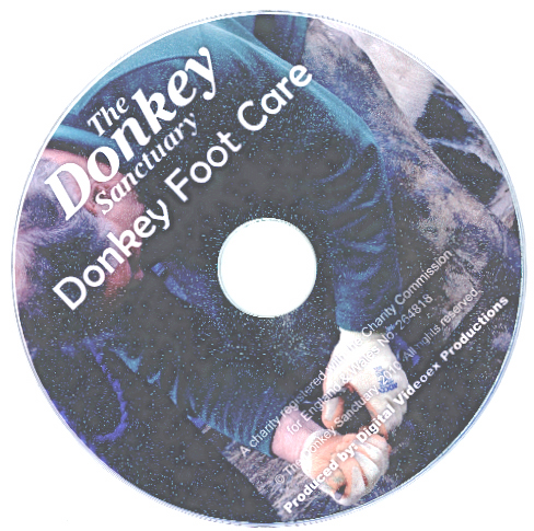 Fran Jurga`s Hoofcare + Lameness: Free Donkey Foot Care DVD for Farriers