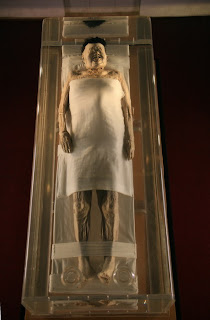 Ever Blossoming Roses - Female Mummies - Treasure Explore