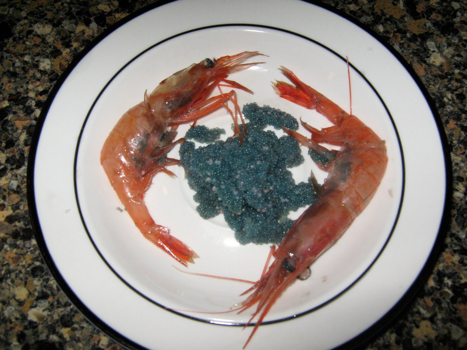 GOliver's Good Eats: Mainly Maine, Part 5: Transgendered Shrimp