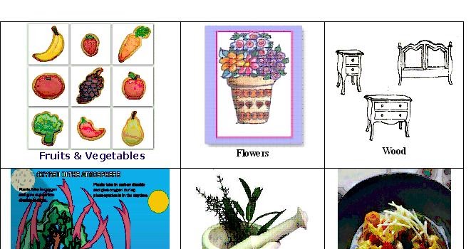 LEARNING STYLES: 2ND GRADE HOMEWORK