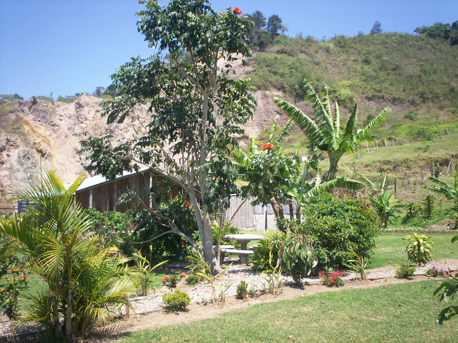 Rancho El Guayabal
