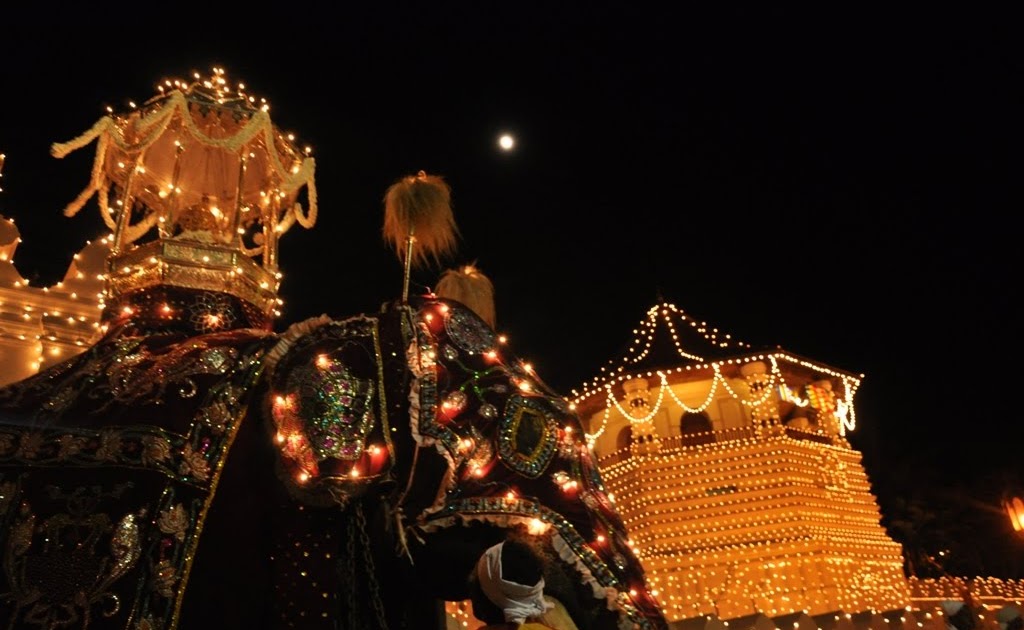 Visit Our Srilanka: Dalada Perahera