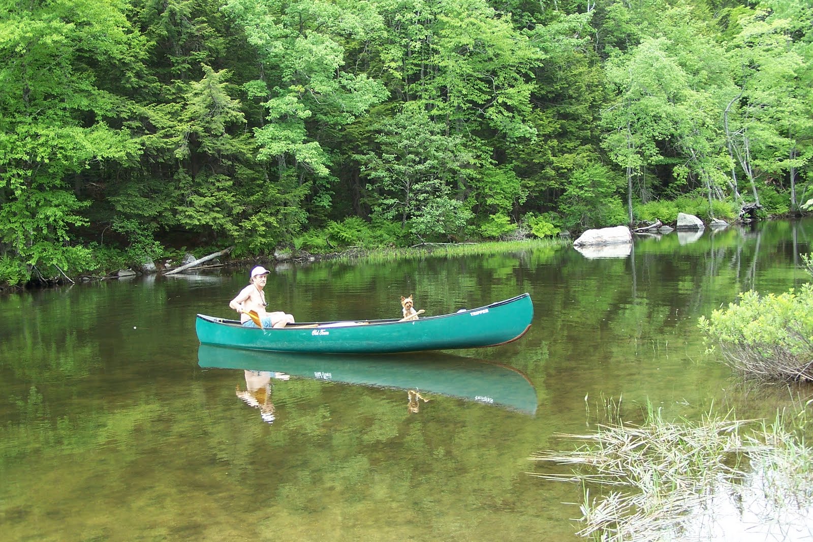 Moxie's Great Adventures: Horseshoe Pond