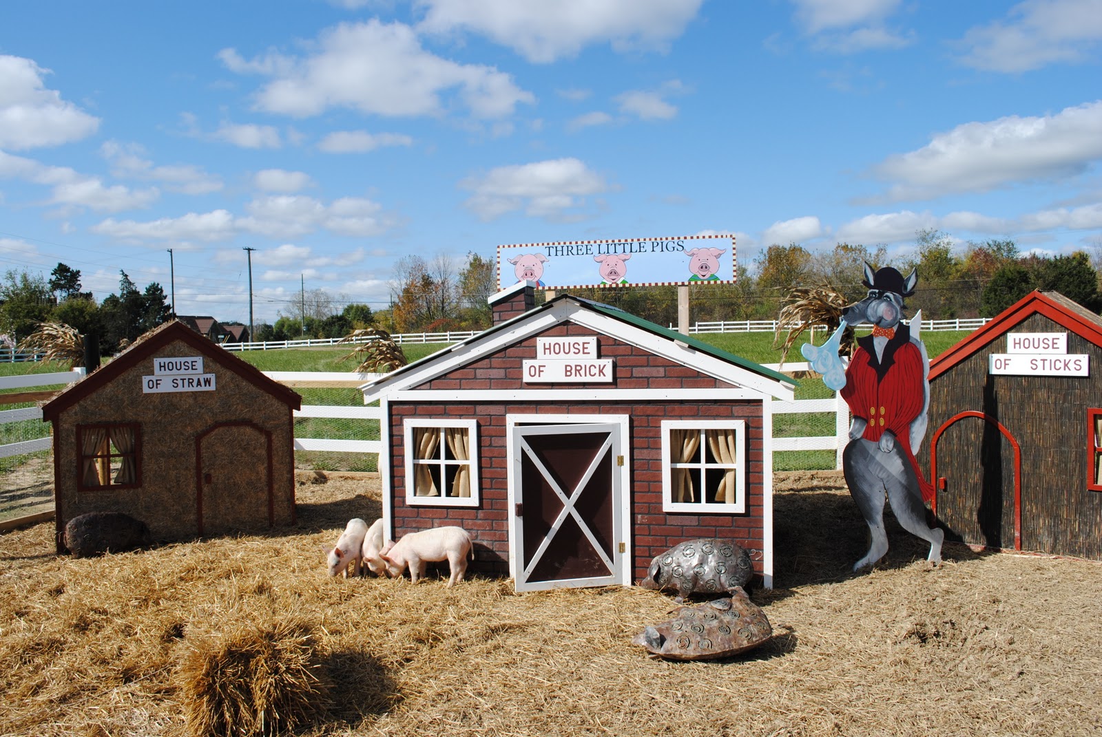 Watch Brooke grow!: Three Cedars Farm- Part 2