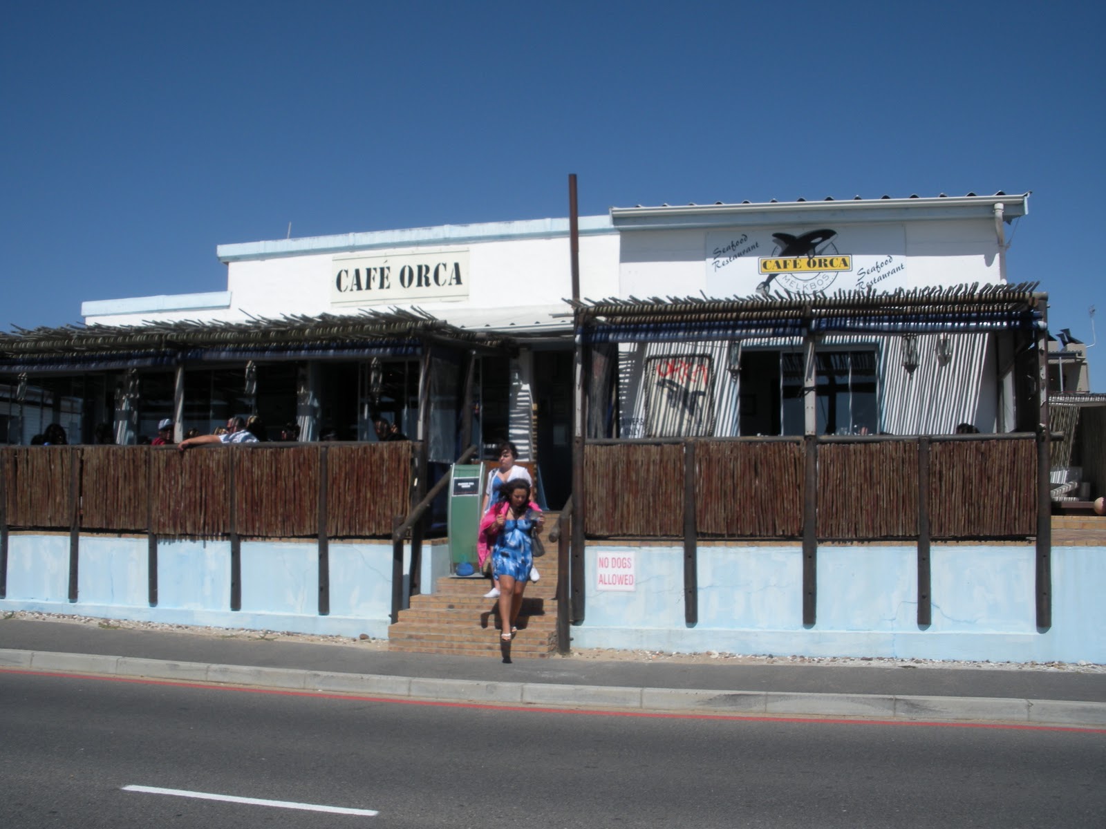 Culinary Expeditions