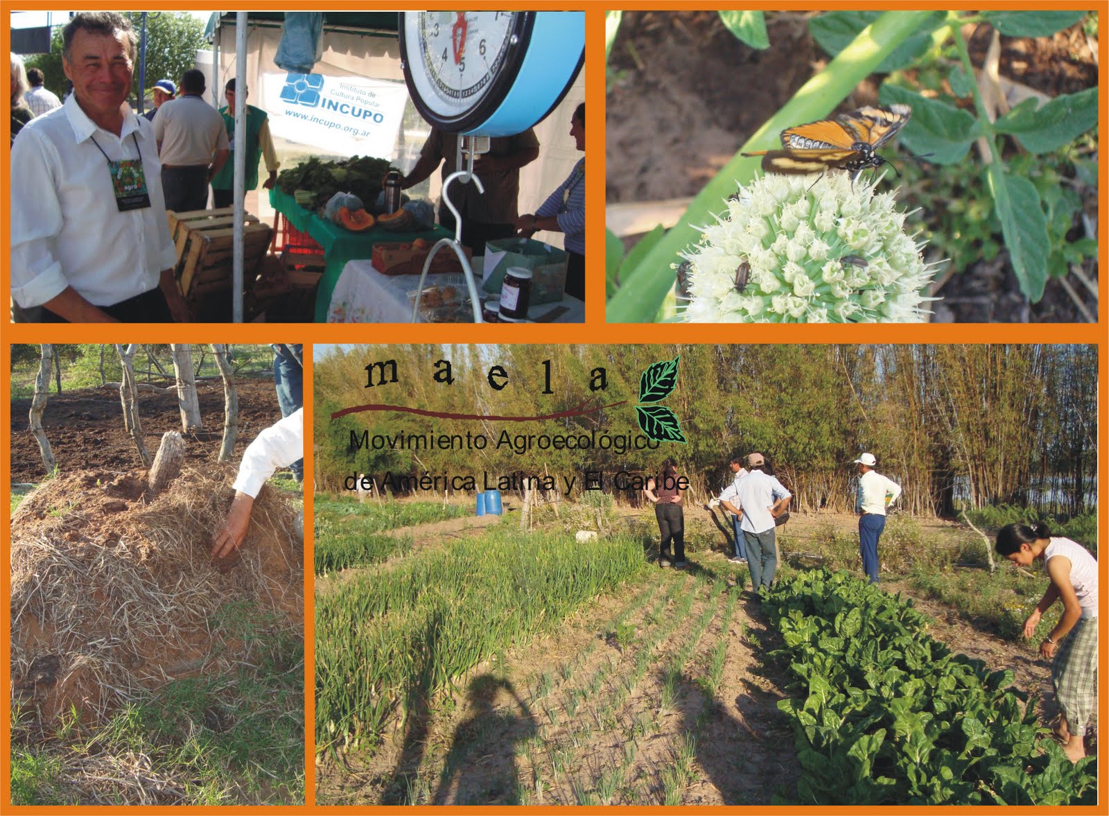 maela-argentina: 2009