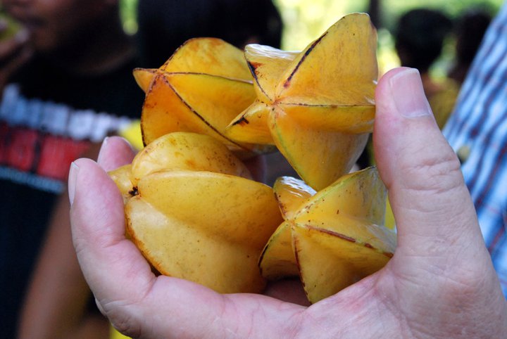 What's New at Pacific Islands University on Guam?: Photo Journal ...