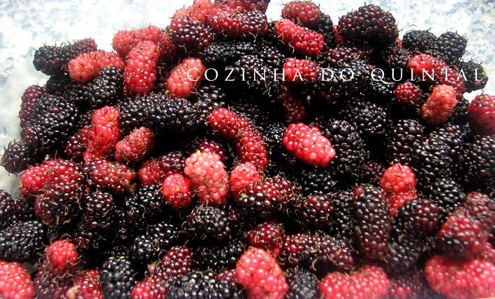 Universo dos Alimentos: Amoras