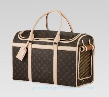 welcome: lv dog bag 020
