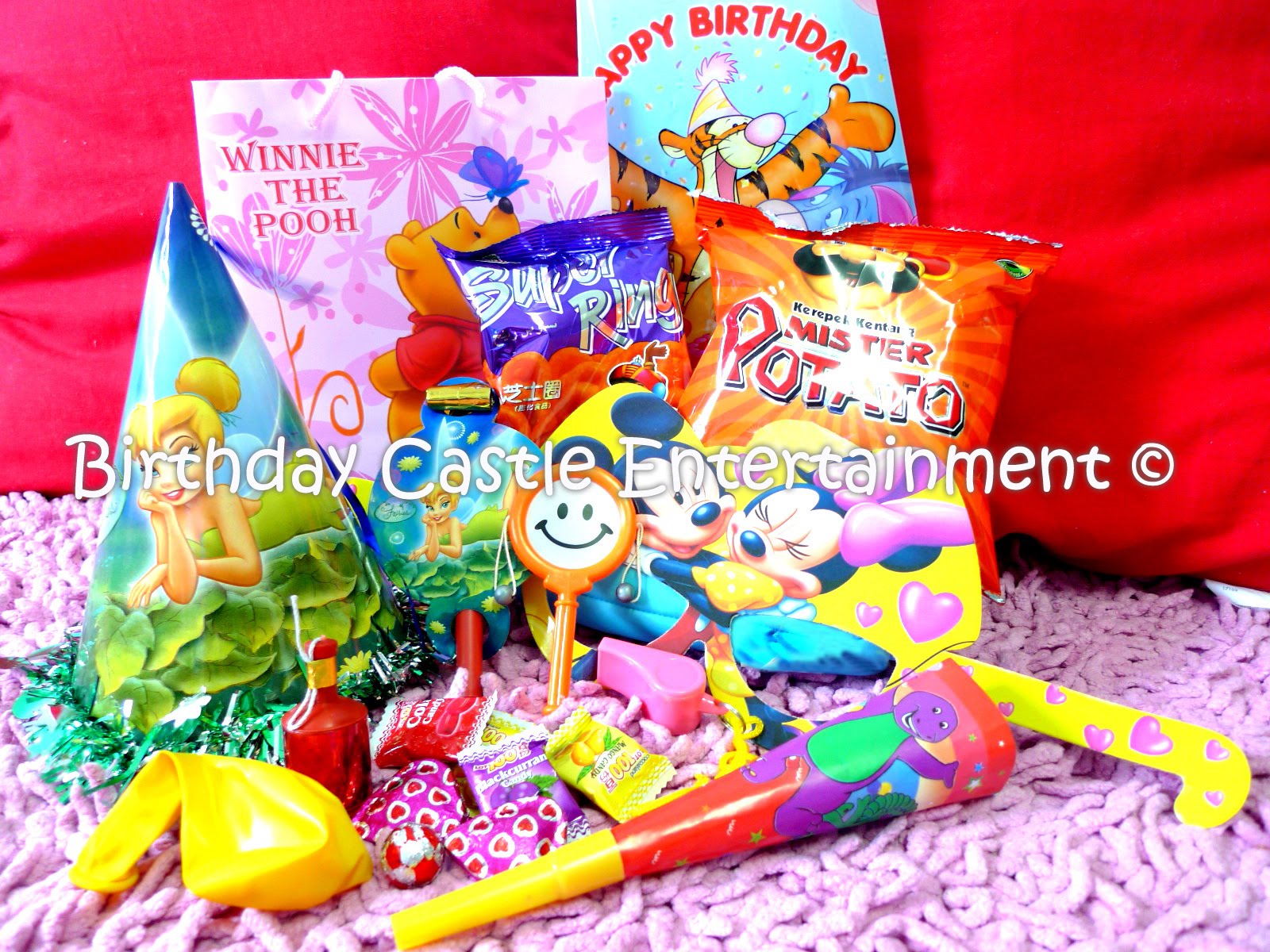 Birthday Castle Entertainment ©: Birthday Castle Party Packs