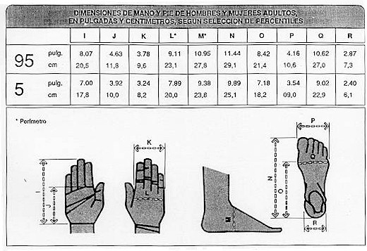 saber sena: Antropometría