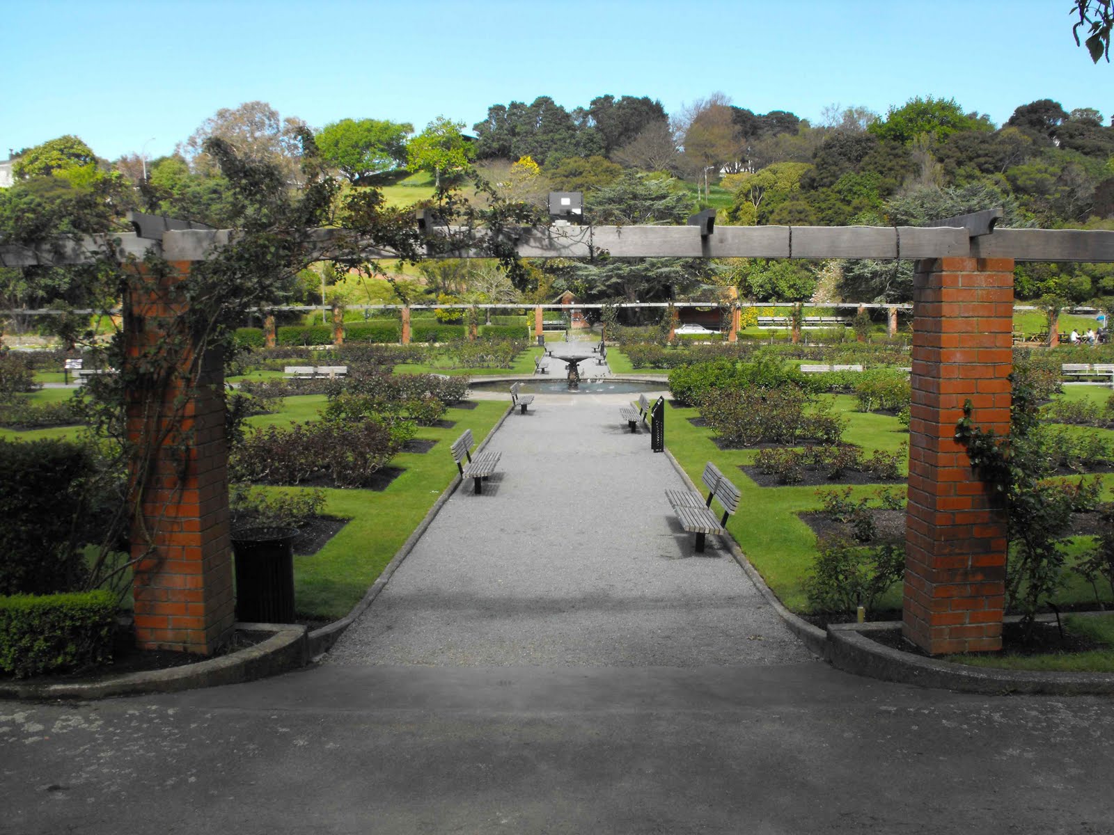 Tales from New Zealand: A very merry thanksgiving