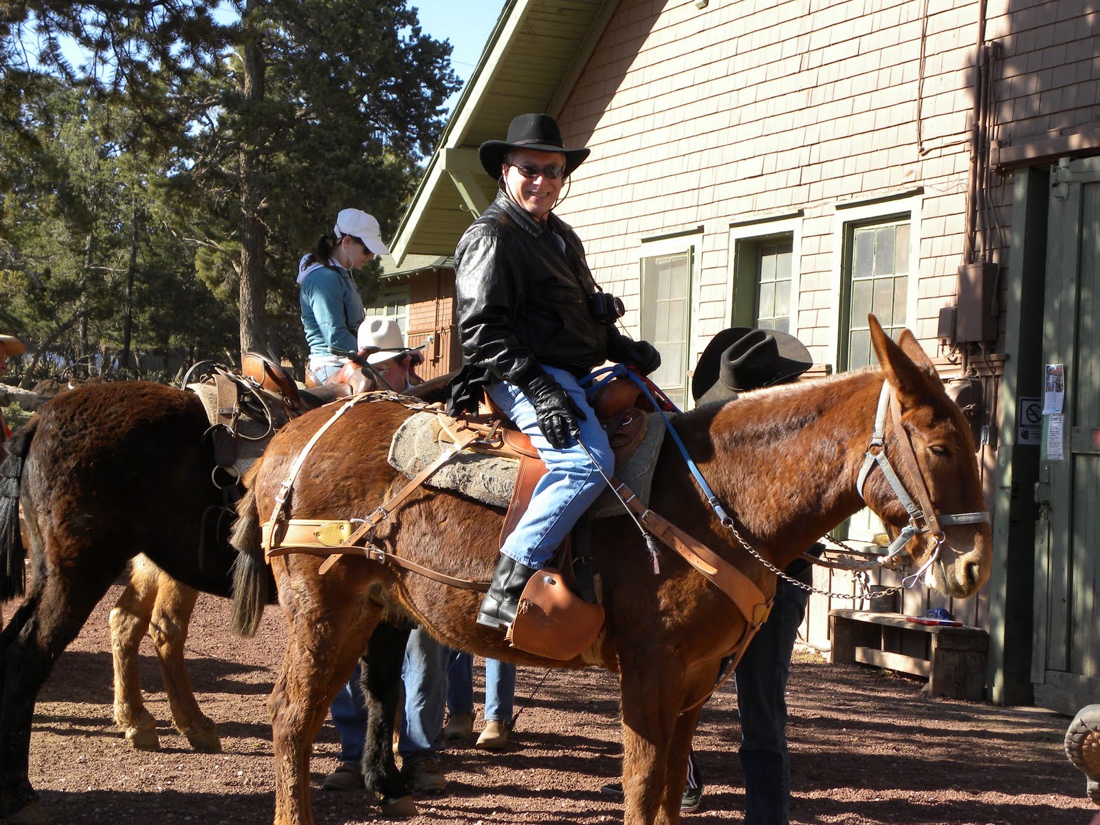 Susan's Happy Trails: Grand Canyon - Saturday - Joel's Mule Ride
