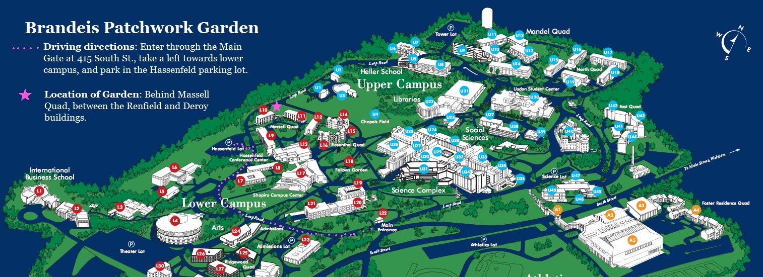 Brandeis Interactive Map | Gadgets 2018
