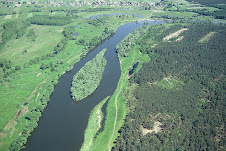 Znaczenie ekologiczne rzeki Bug: Bug – najważniejsze informacje