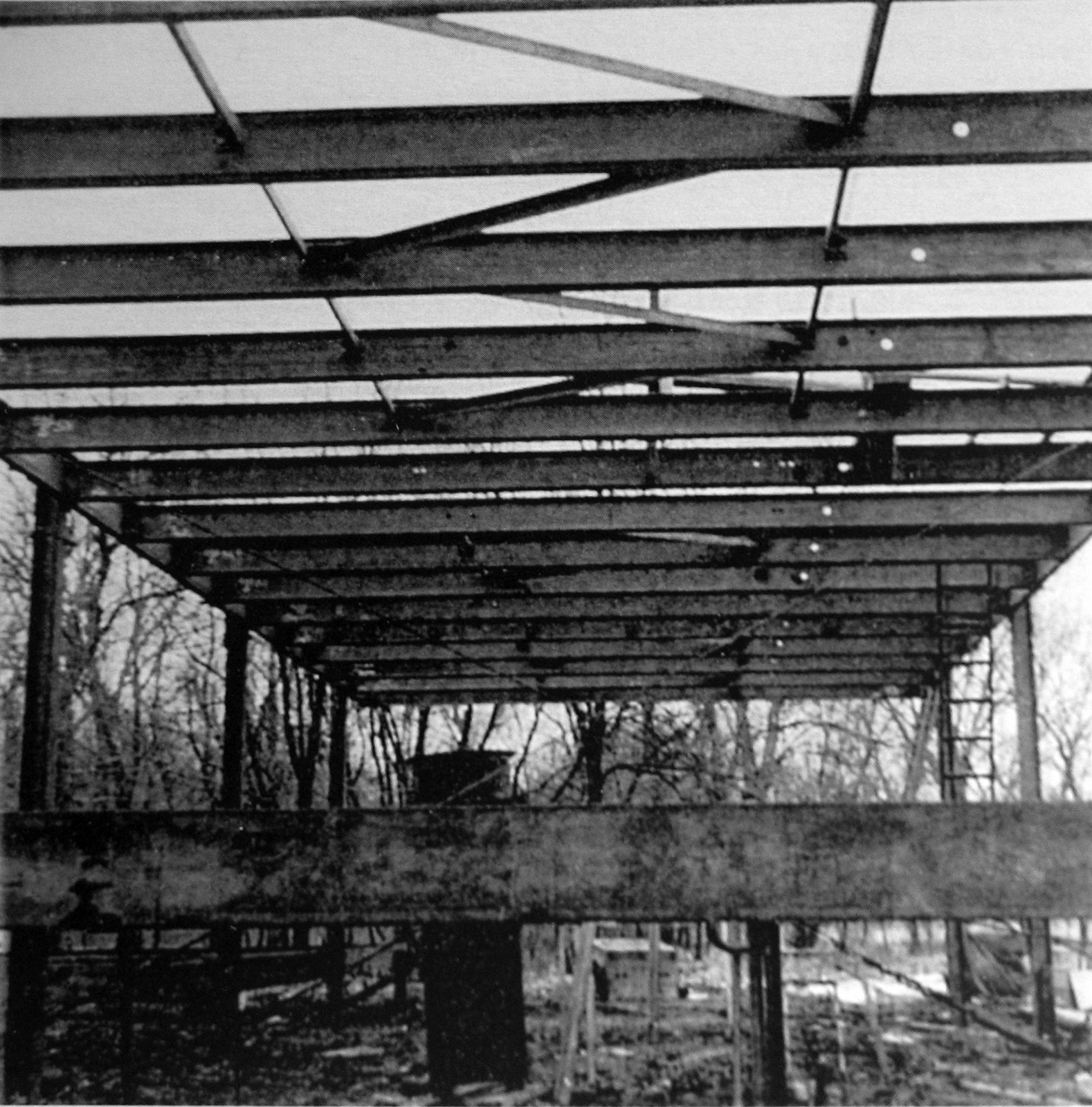 CaViCa Proyectos de Arquitectura: Casa Farnsworth