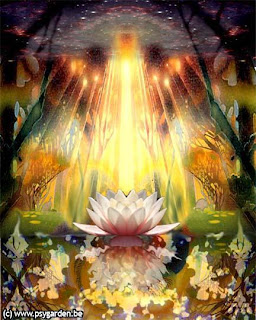 Camino holístico: SERES MULTIDIMENSIONALES