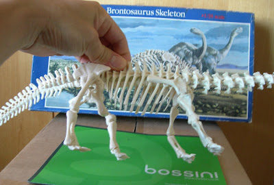 Brontosaurus Skeleton model kit