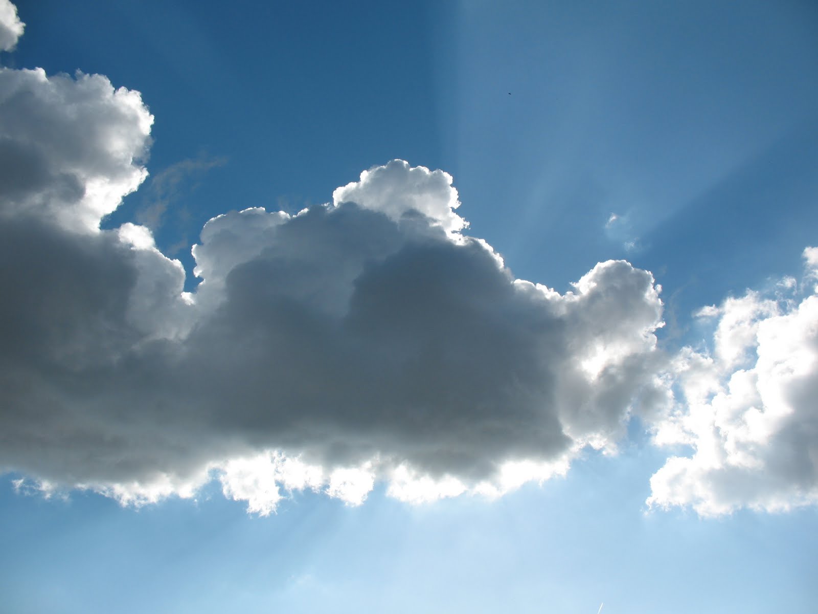 Messines-Alte: Da Representação Humana da Natureza:Porque surgem ...