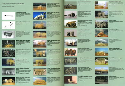 Arqueología del Futuro: CATÁLOGOS ENCONTRADOS [A] THEO JANSEN family ...