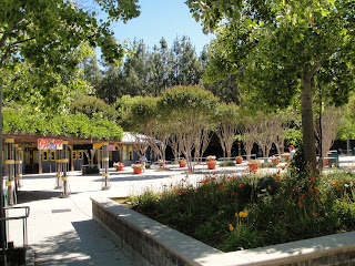 Living Livelier: Circus Trees