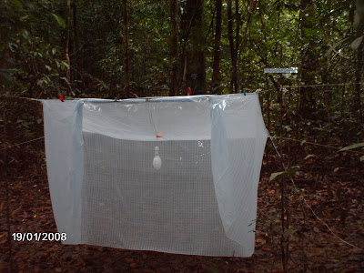 CENTRE for INSECT SYSTEMATICS (UKM): Light Trap