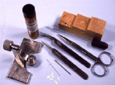 CENTRE for INSECT SYSTEMATICS (UKM)