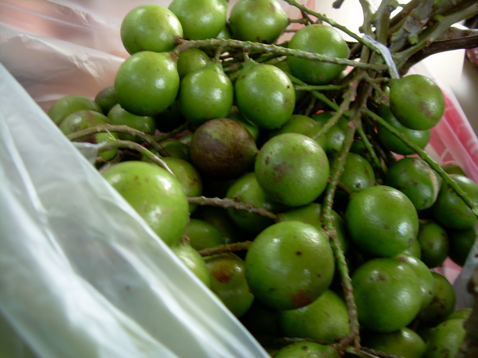 I'm Traveling with the Werewolves, of course: Holy Quenepas! The ...