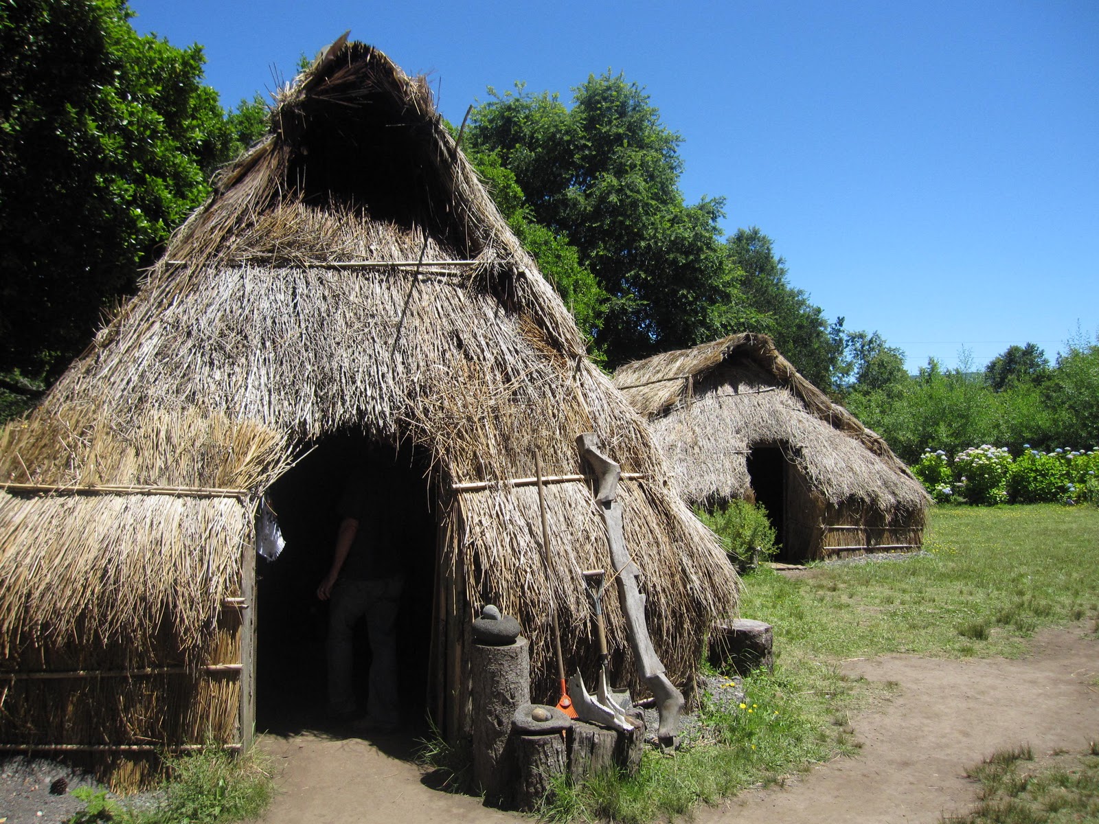 Adventures in Chile: Happy Holidays!