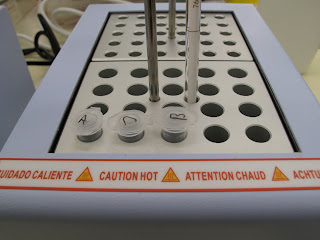 The Friedman Lab Chronicles: Heat Blocks and Microscope