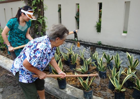 Beautification works at Sunway Tiara | Hannah Yeoh