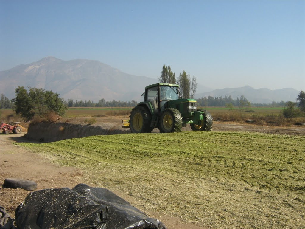 DESAFIOS EN PIRQUE - Grupo 13: Proceso de Ensilaje