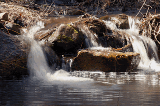Hachi Gif Amazing Brook Cosplay
