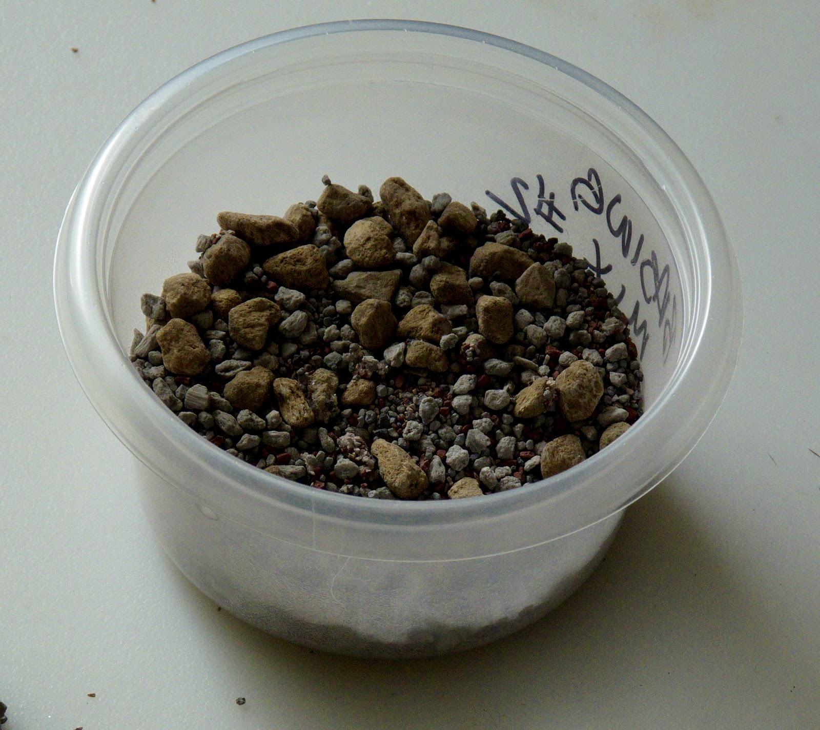 The Topography Workshop