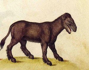 ANIMALES FANTÁSTICOS: CROCOTAS Y LEUCROCOTAS