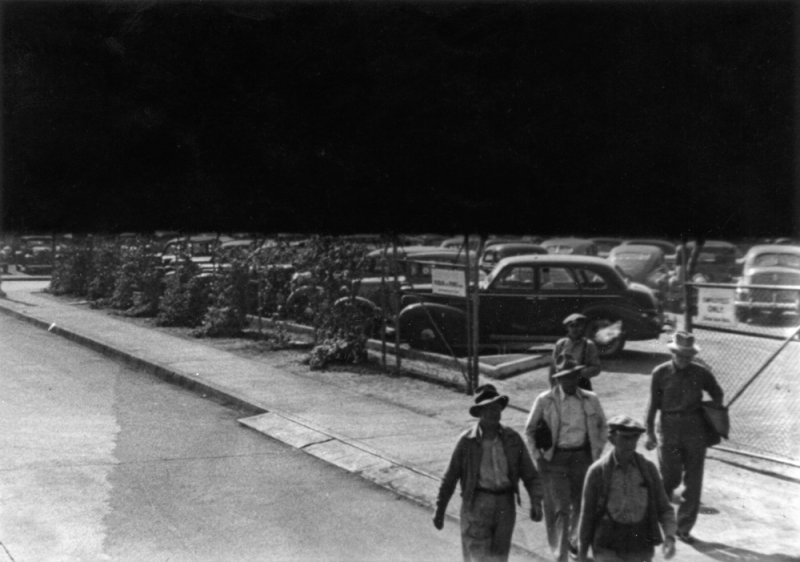 Matte Shot - a tribute to Golden Era special fx: RKO - the home of Kong ...