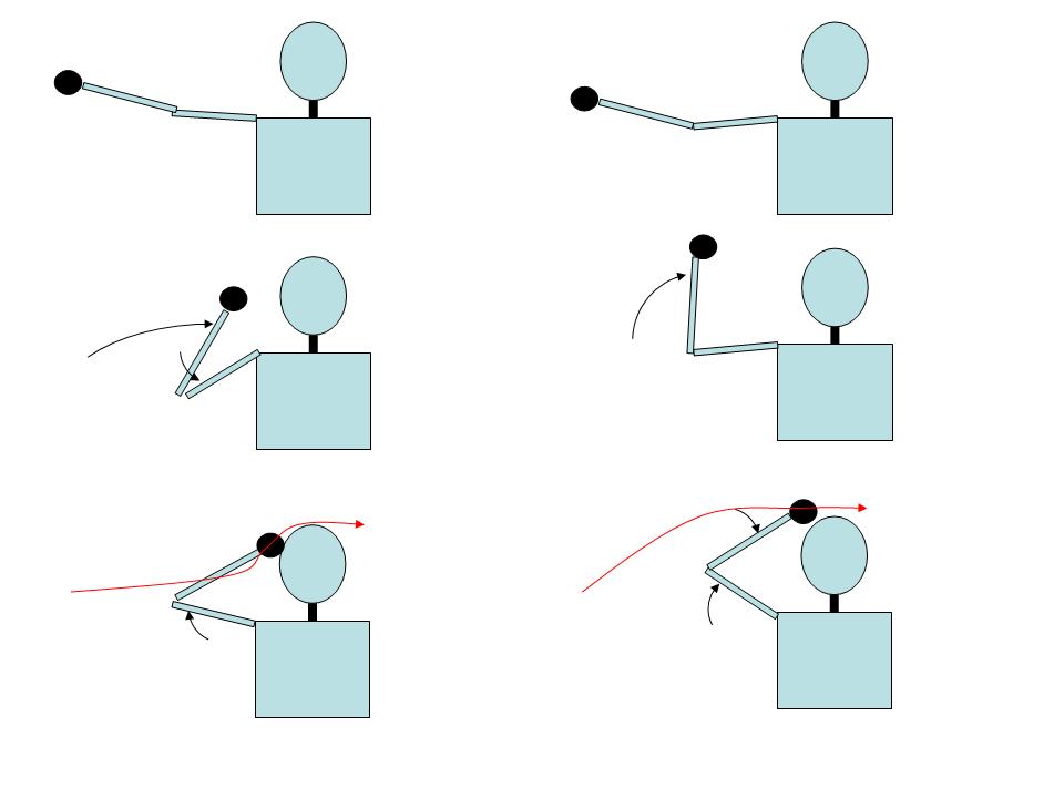 Shugyo: Iaido Training Session 23 - Using Koranto and Changes to Chiburi